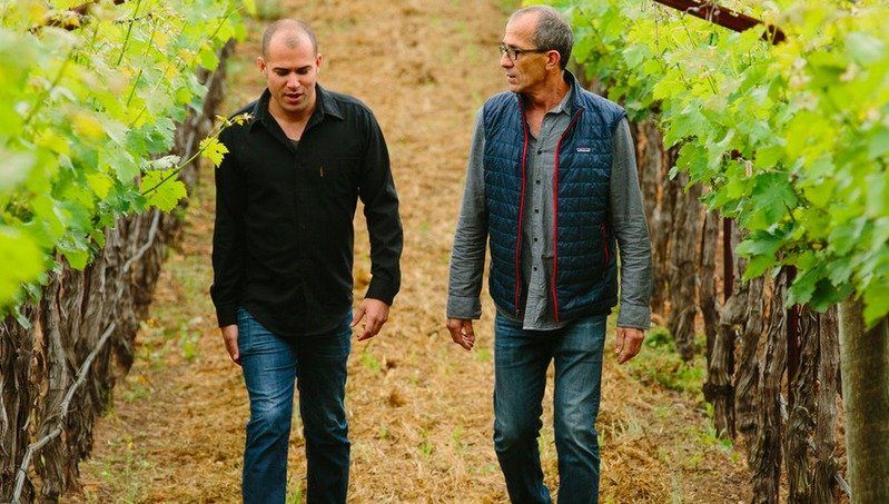 AD VIVUM Napa Valley Cabernet Sauvignon 2014 Ad Vivum Cellars | Your ...