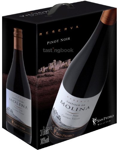 Castillo de Molina Reserva Pinot Noir 2011 Viña San Pedro | Your ...