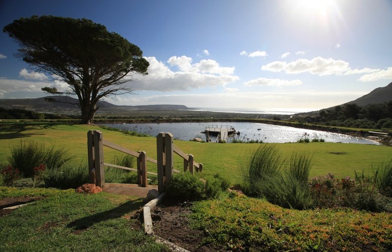 Isliedh 2013 Cape Point Vineyard | Your personal wine professional ...